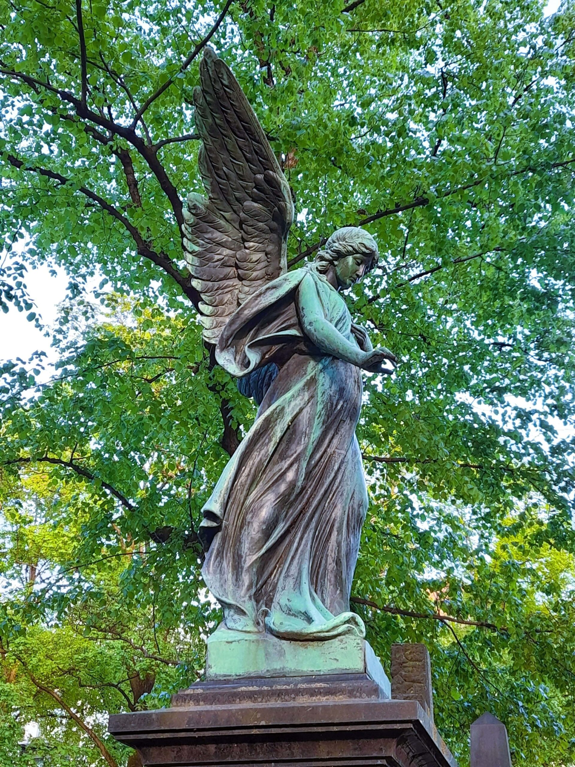 LAX 1991 Collision on the Runway - Communicatio optima